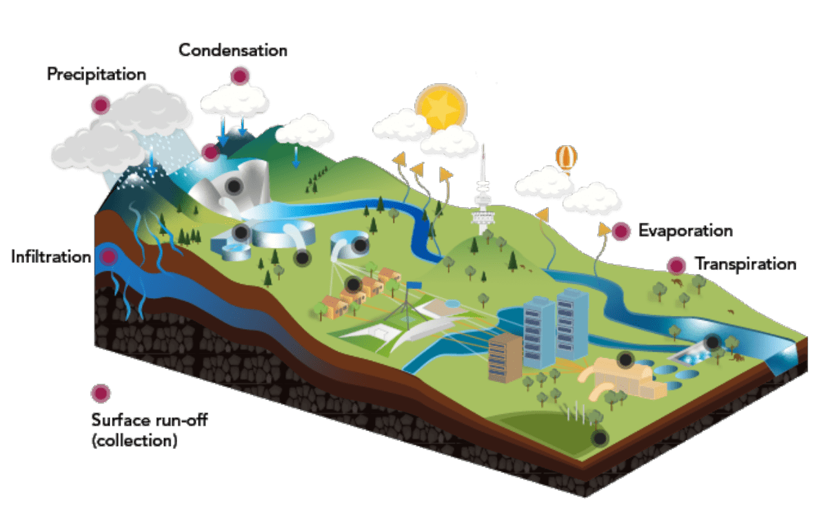 Earth’s Water Cycle: Detailed Visual Explanation - SCELSE