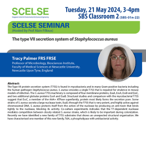 The type VII secretion system of Staphylococcus aureus - SCELSE