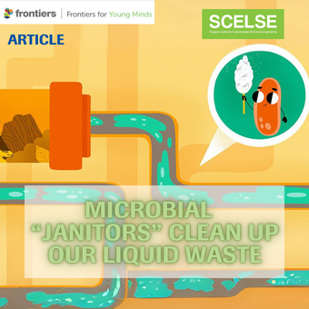 Microbial “Janitors” Clean Up Our Liquid Waste - SCELSE