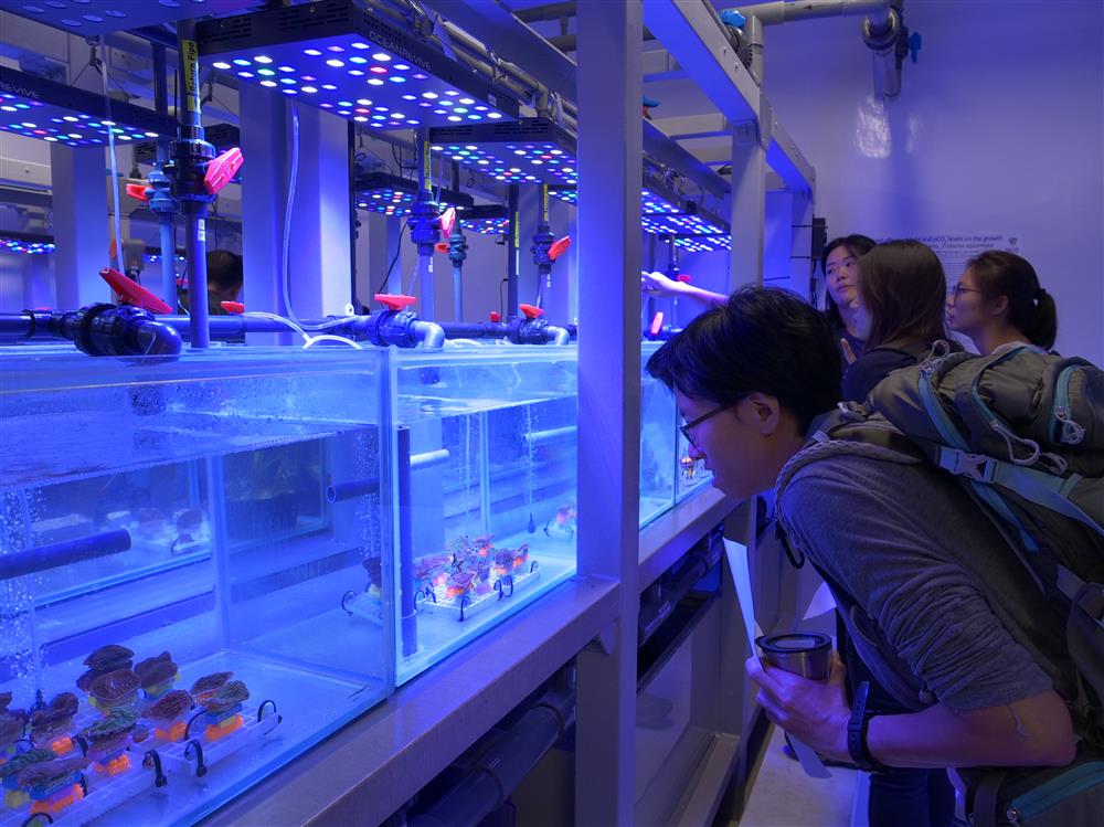 St. John’s Island National Marine Lab Launches Anew - SCELSE